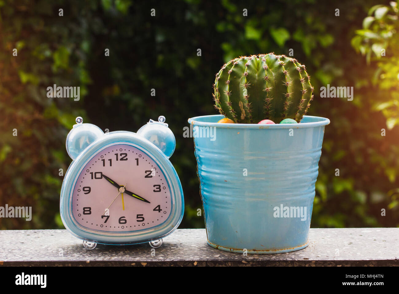 Clock face cactus hi-res stock photography and images - Alamy