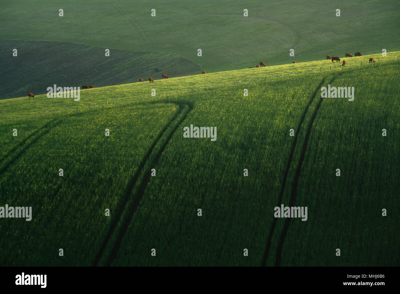 Farm on a slope hi-res stock photography and images - Alamy