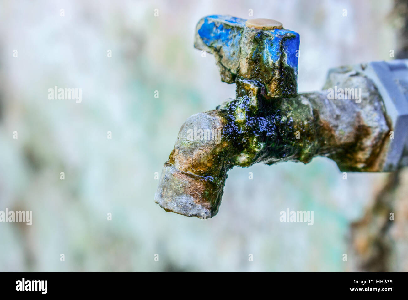 Old Blue Tap Surrounded By Dark green Moss Stock Photo - Alamy