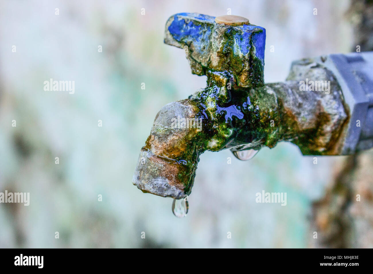 Old Blue Tap Surrounded By Moss Caused By Dripping, Leaking, and ...