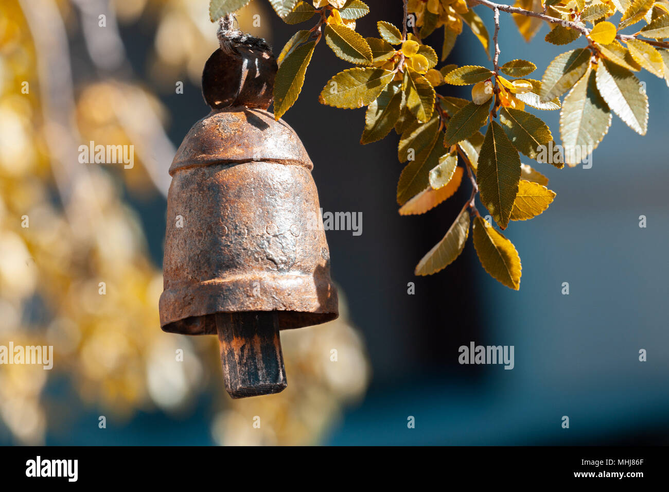 Bell tree instrument hi-res stock photography and images - Alamy