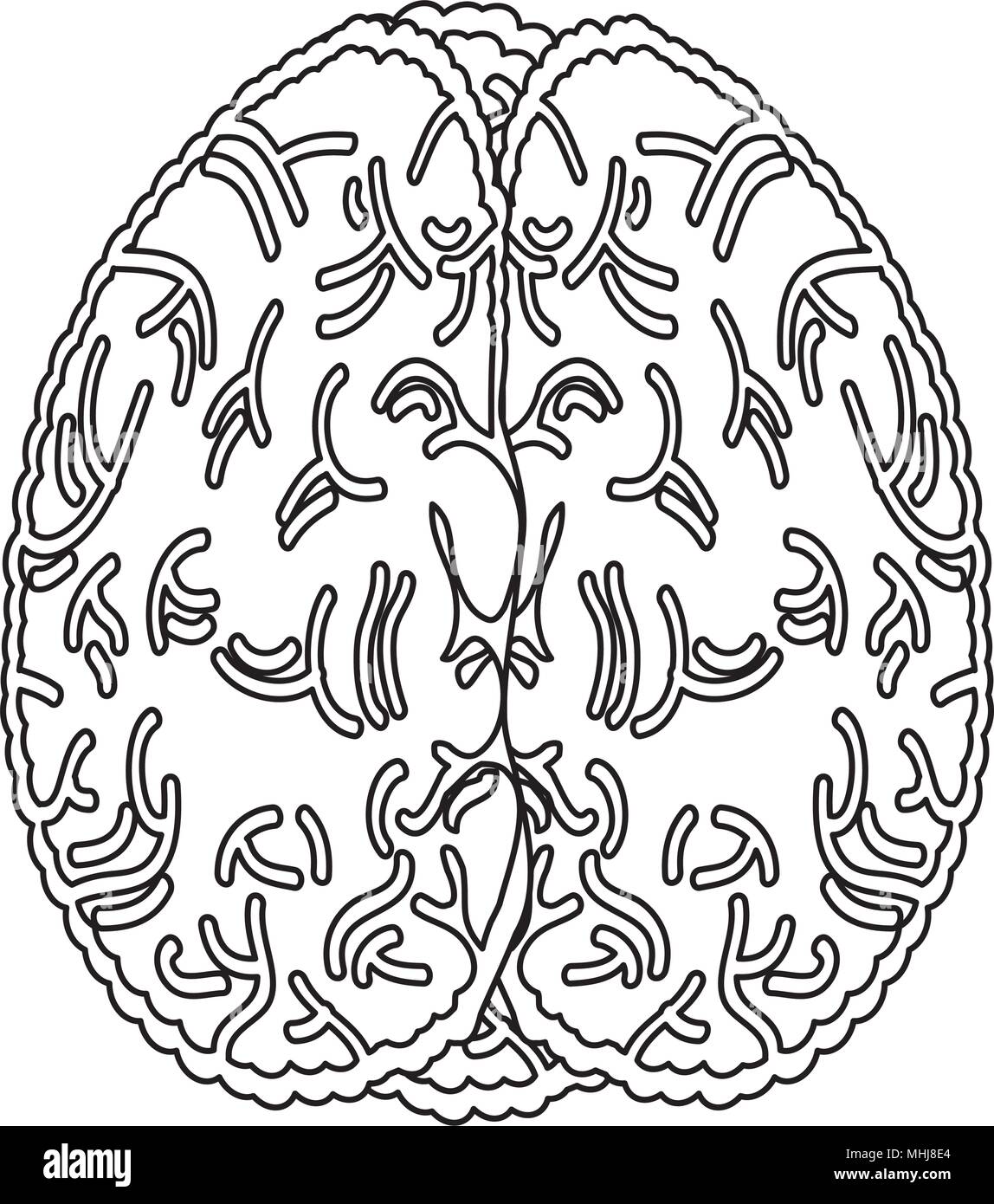 human brain icon over white background, vector illustration Stock ...