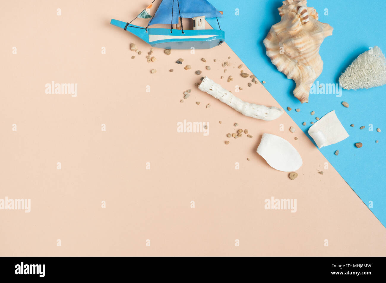 Shell Collection Display High Resolution Stock Photography and Images ...