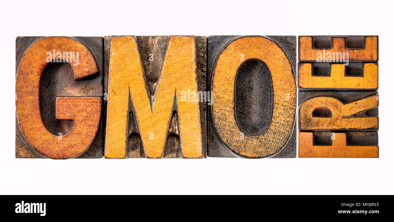 GMO (genetically modified organism) free banner - isolated word ...