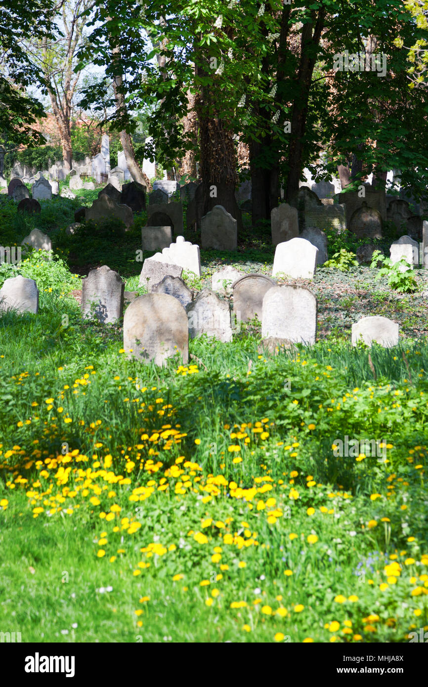 Starý židovský hřbitov, Kolín, Středočeský kraj, Česká republika / Old ...