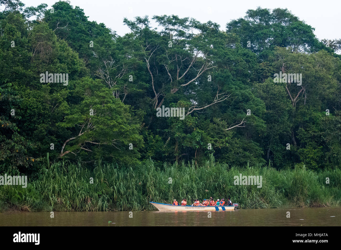 Wildlife river cruising on the Kinabatangan River, Sabah, Malaysian ...