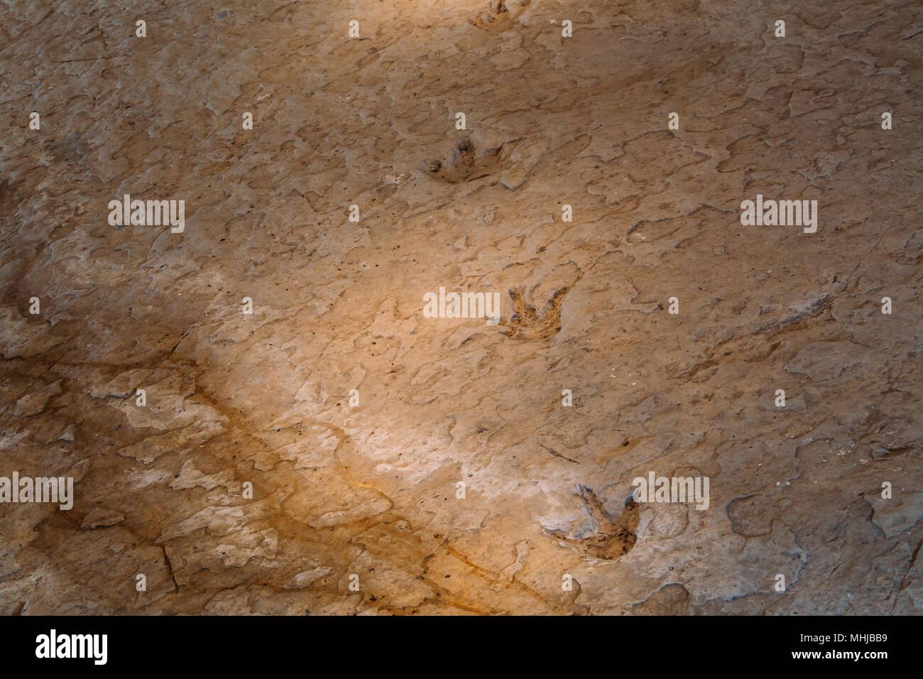 Kutaisi, Georgia. Traces Of Dinosaurs Left 70 Million Years Ago On ...