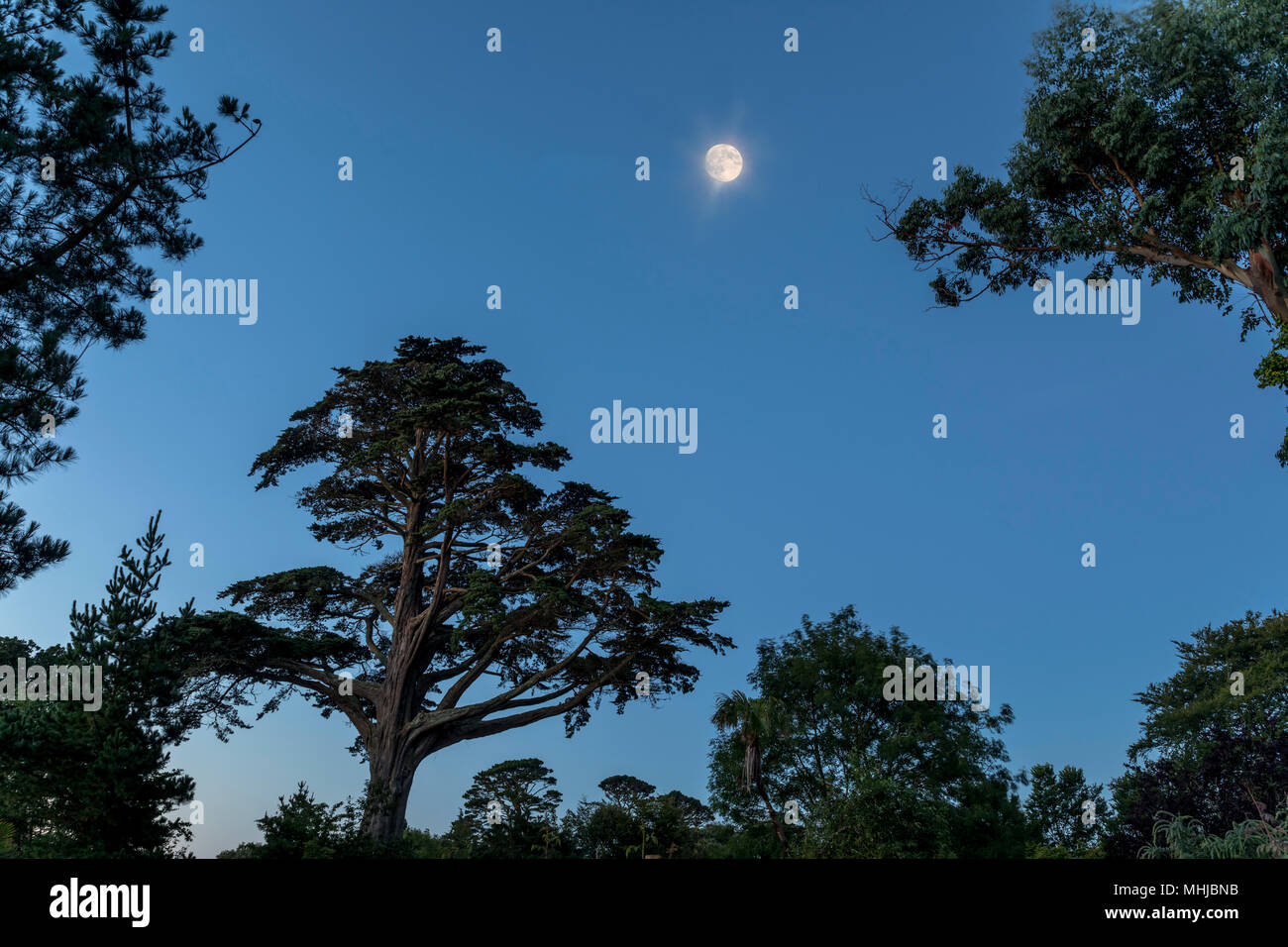 Moon night time view hi-res stock photography and images - Alamy