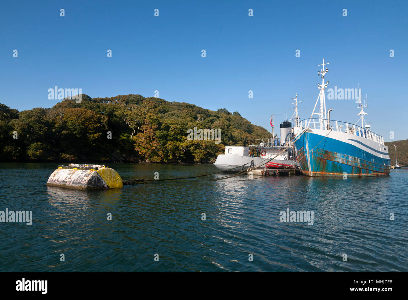 River Fal; Ships Moored; Cornwall; UK Stock Photo - Alamy