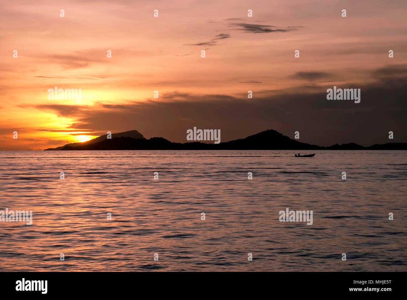 Palm trees in chuuk micronesia hi-res stock photography and images - Alamy