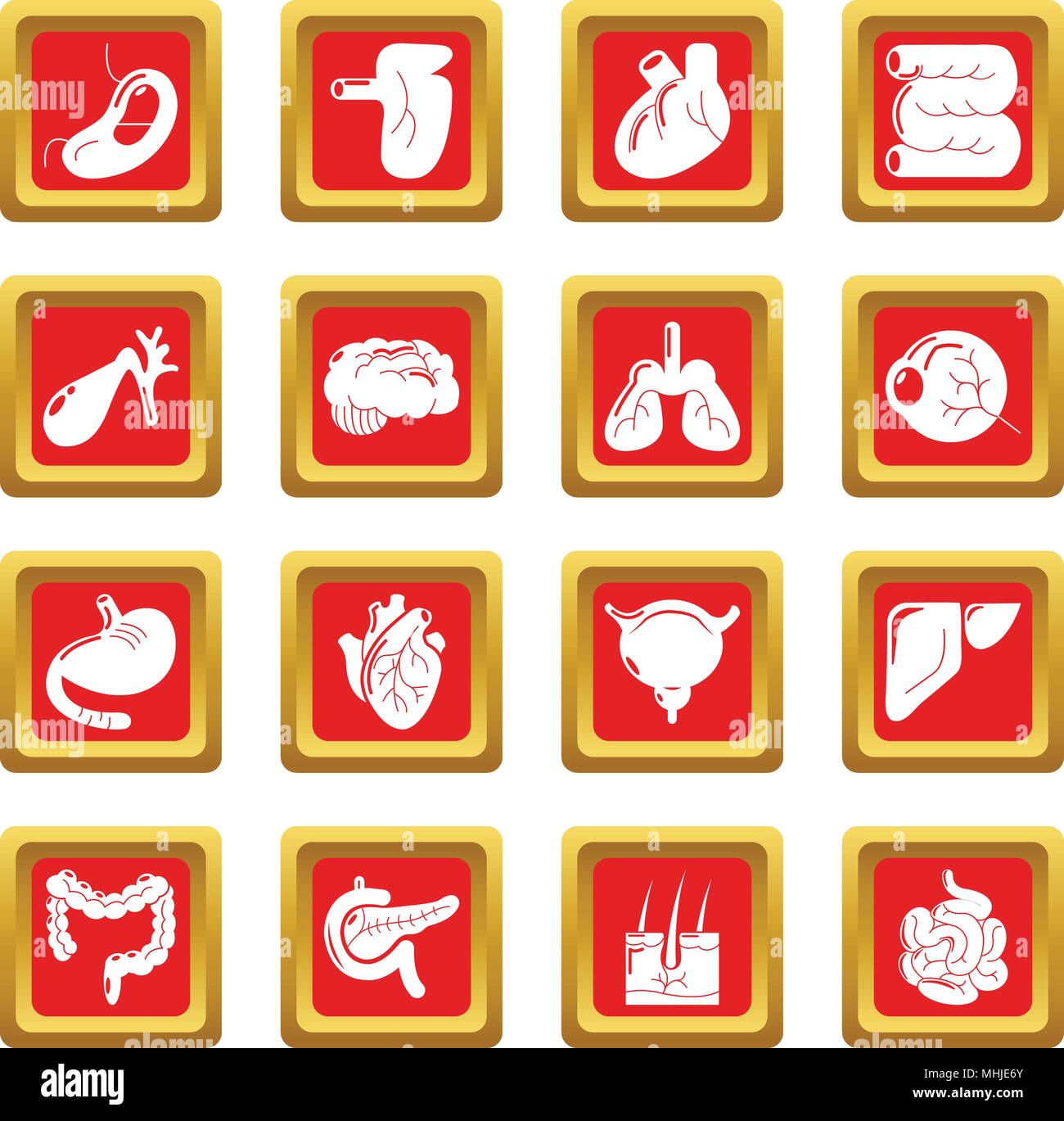 Internal human organs icons set red square vector Stock Vector Image ...