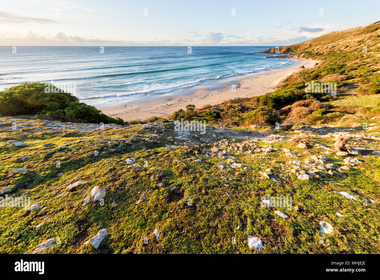 kangaroo island sanbdy beach panorama at sunset Stock Photo - Alamy
