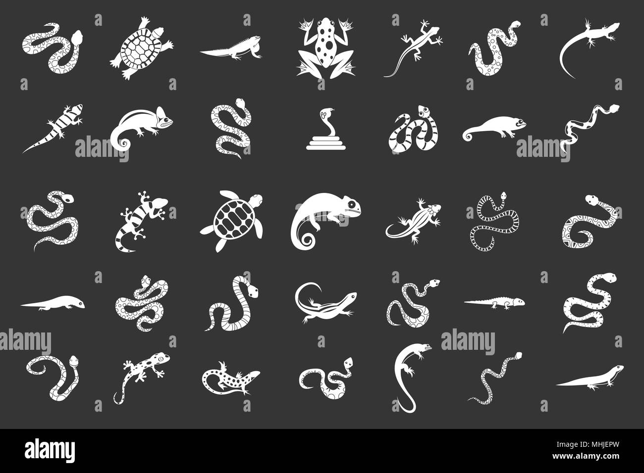 Reptile icon set grey vector Stock Vector Image & Art - Alamy