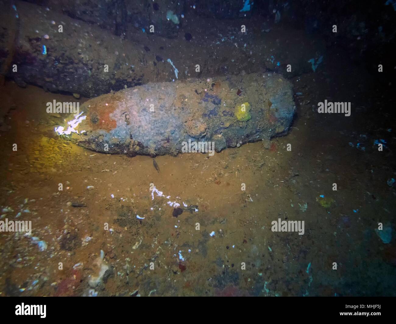 18 inch shell hi-res stock photography and images - Alamy