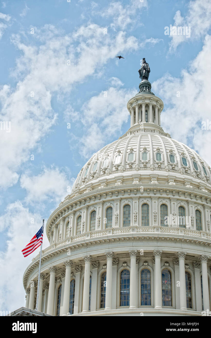 Washington DC Capitol dome detail with waving american flag Stock Photo ...