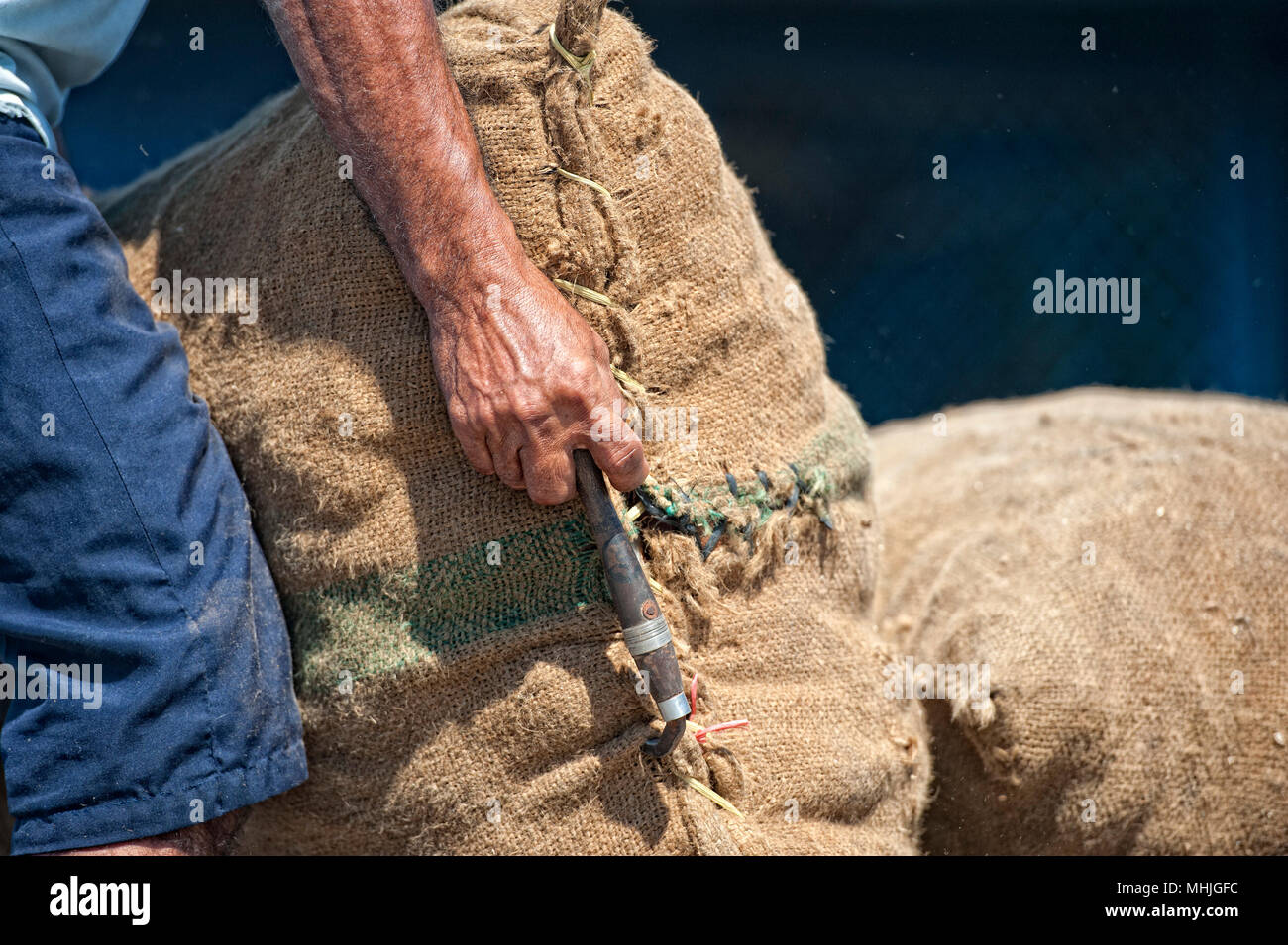 Old man hands holding juta sack in Asia Stock Photo - Alamy