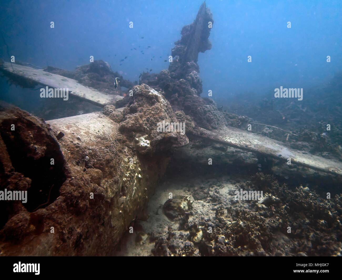 Remains of a World War II Japanese Air Force Nakajima B6N "Jill" bomber ...