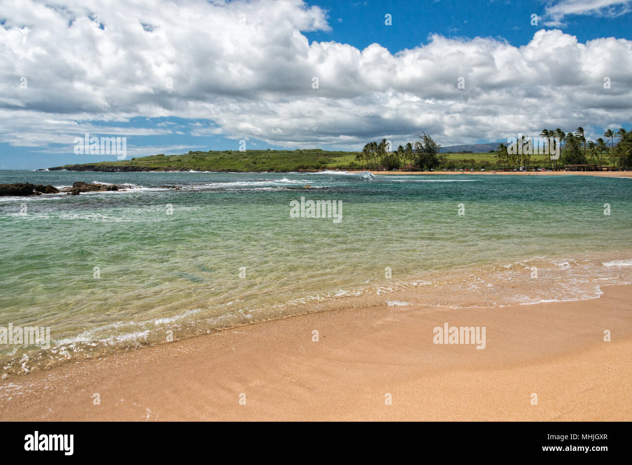 Hawaiian Beaches Waves