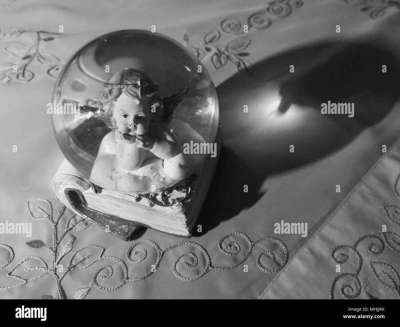 Angel Of Light And Shadow