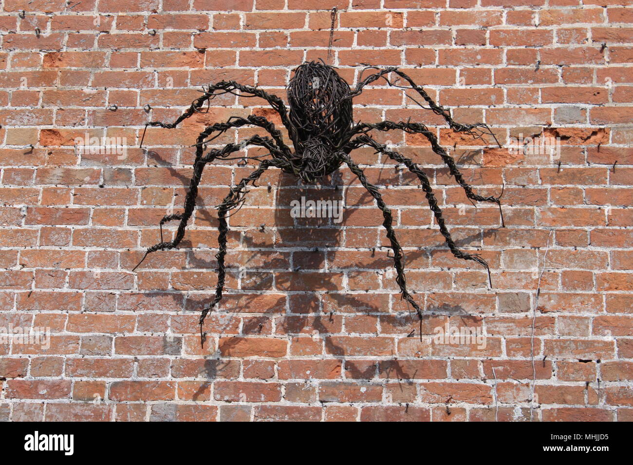 Creepy crawlies house hi-res stock photography and images - Alamy