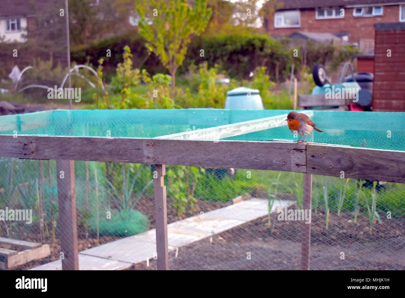 Shed compost hi-res stock photography and images - Alamy