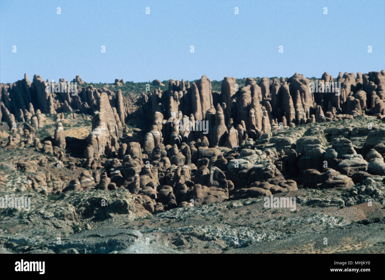 The long, needle-like pillars of sandstone make up both the maze Andy ...