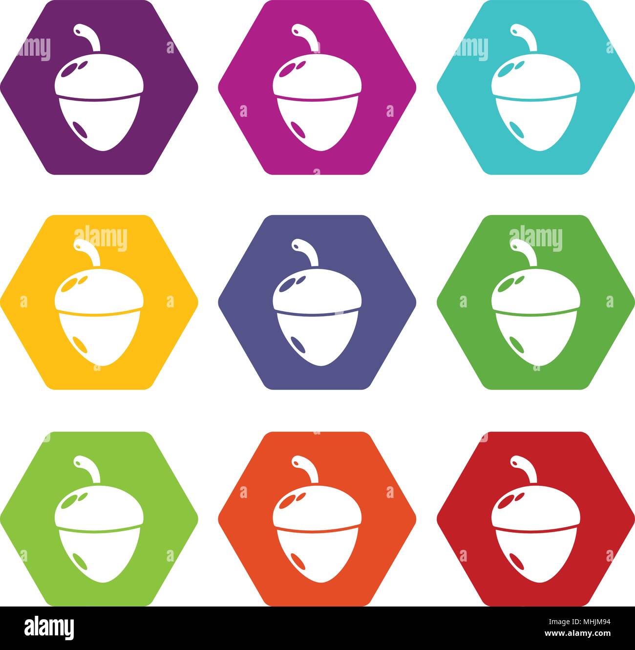Acorn icons set 9 vector Stock Vector Image & Art - Alamy
