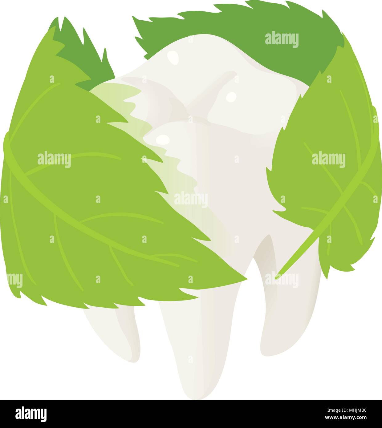 Herbal toothpaste Stock Vector Images - Alamy