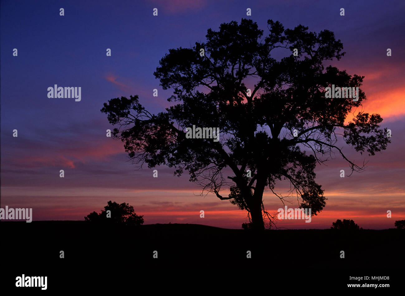 Turtle creek state park hi-res stock photography and images - Alamy