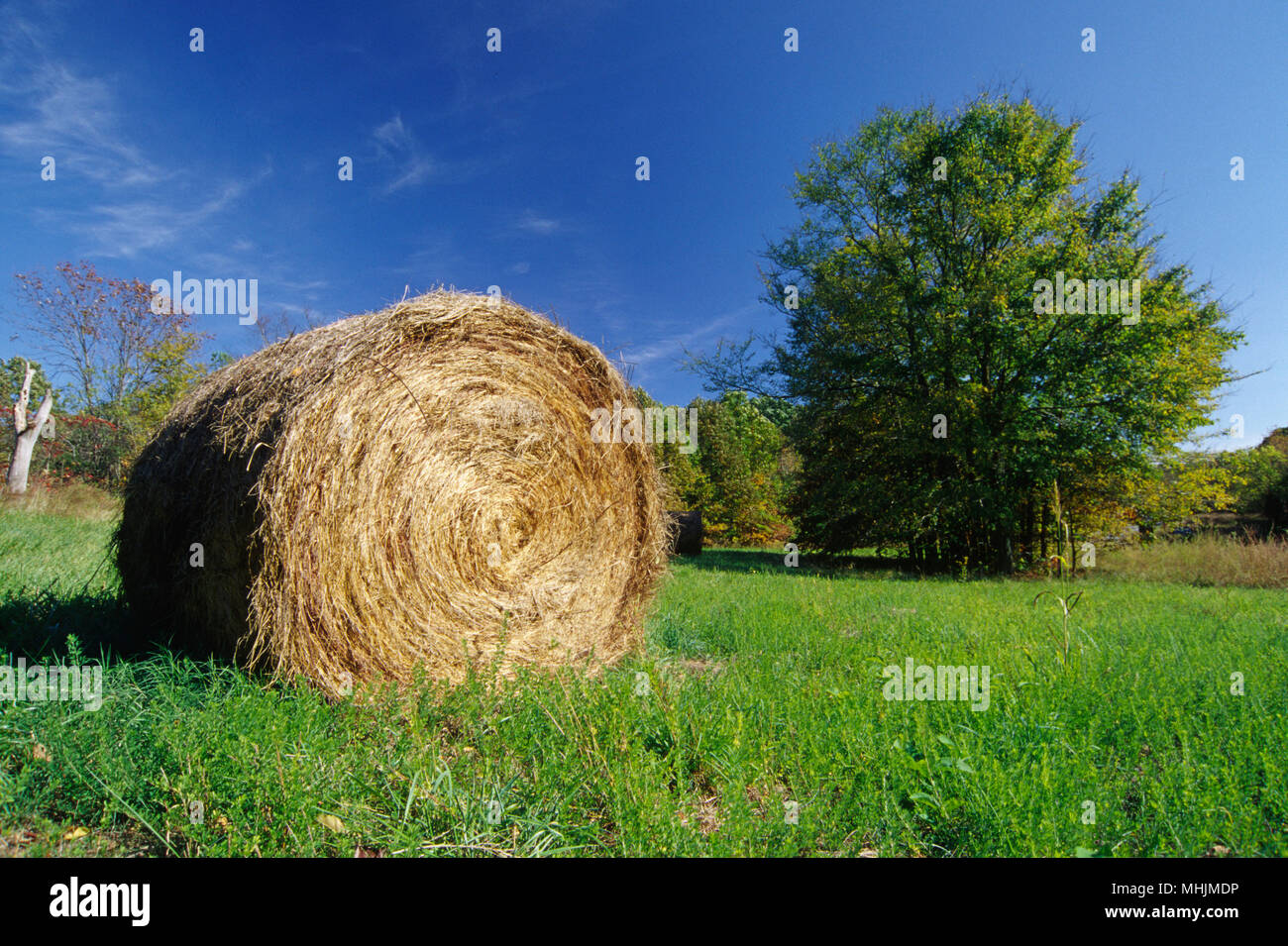 Recreation land use hi-res stock photography and images - Alamy