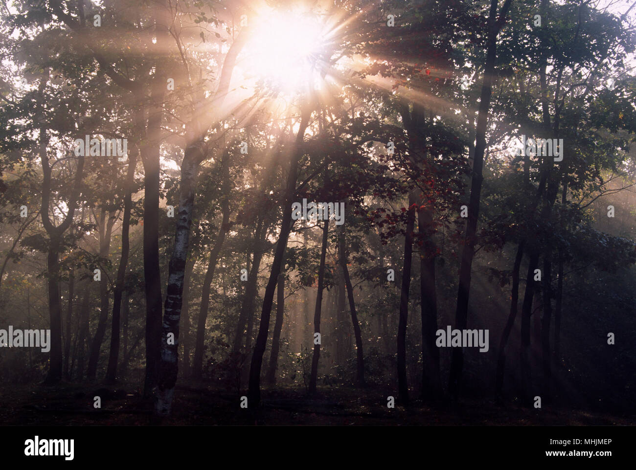 Mt toby state reservation hi-res stock photography and images - Alamy