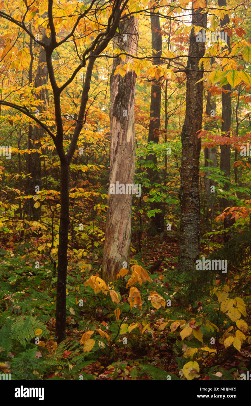 Monroe mountain hi-res stock photography and images - Alamy