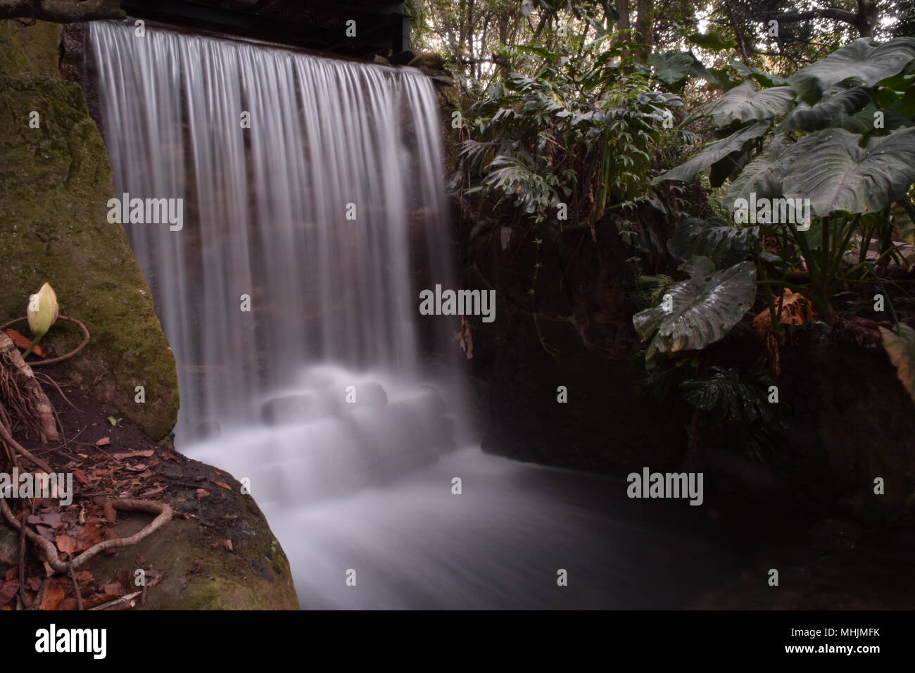 Visit to the botanical garden in Bogotá Stock Photo - Alamy