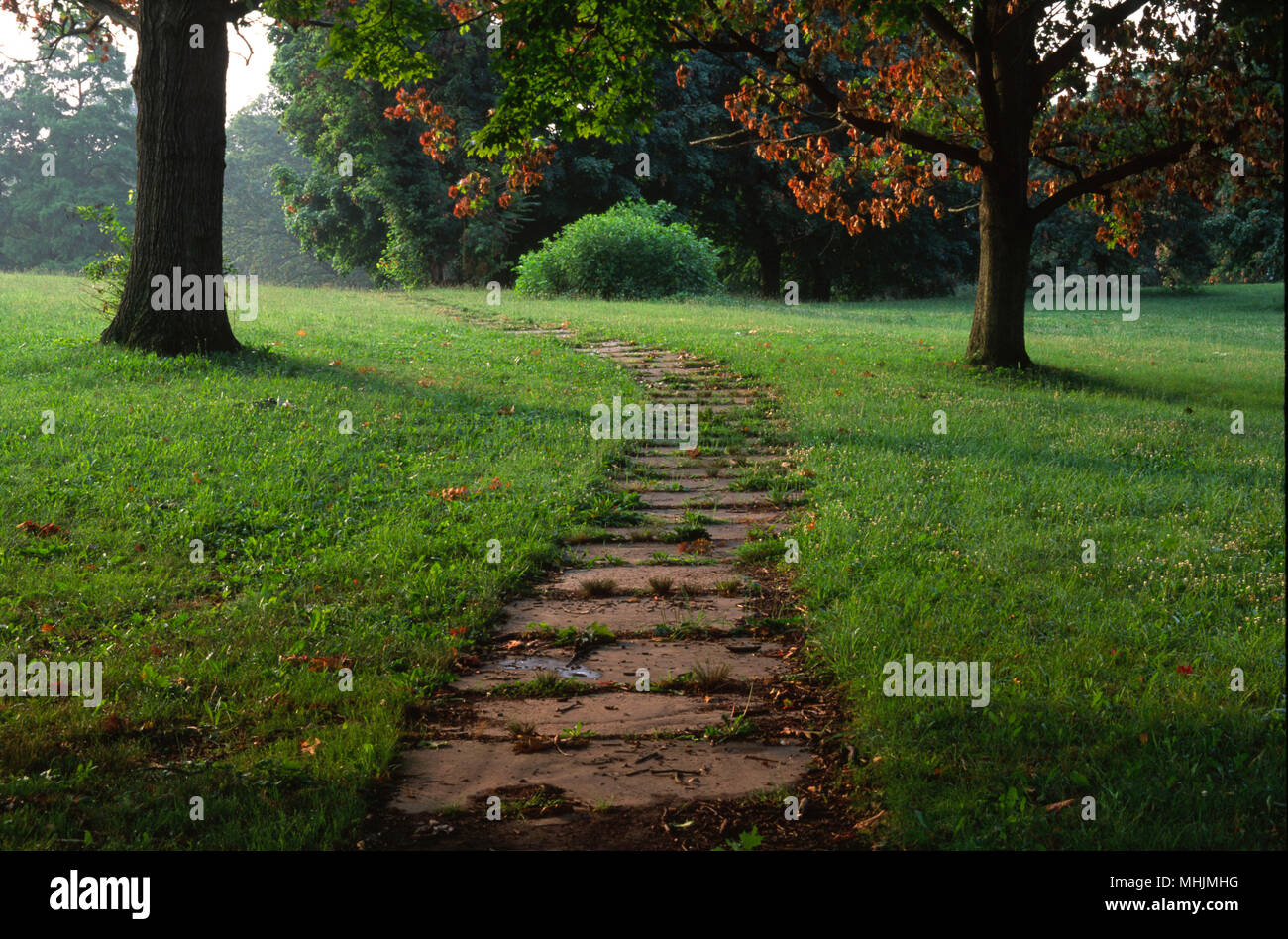 Slate sidewalk, Druid Park, Baltimore, Maryland Stock Photo - Alamy
