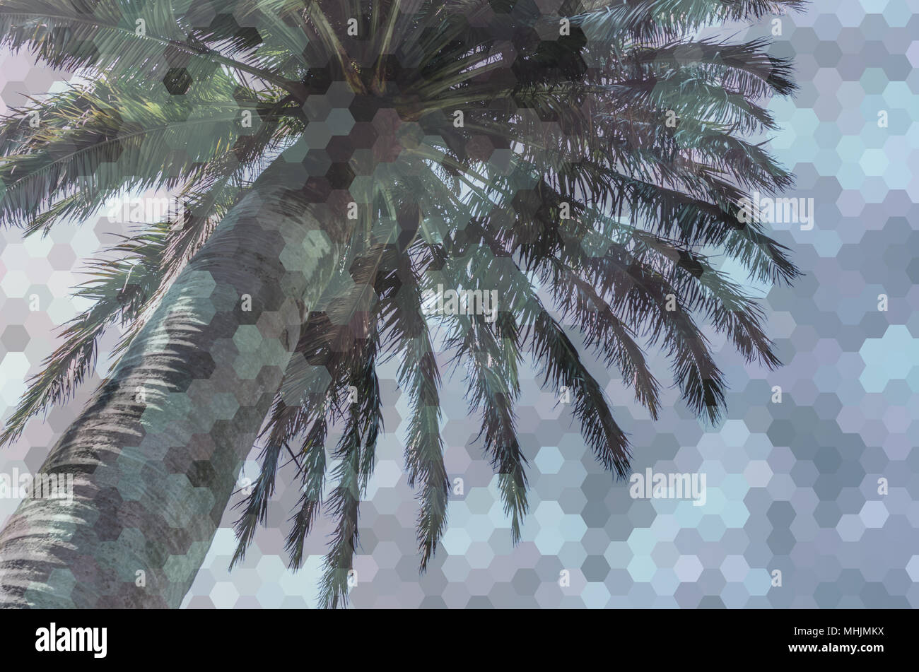 Palm tree picture art hi-res stock photography and images - Alamy