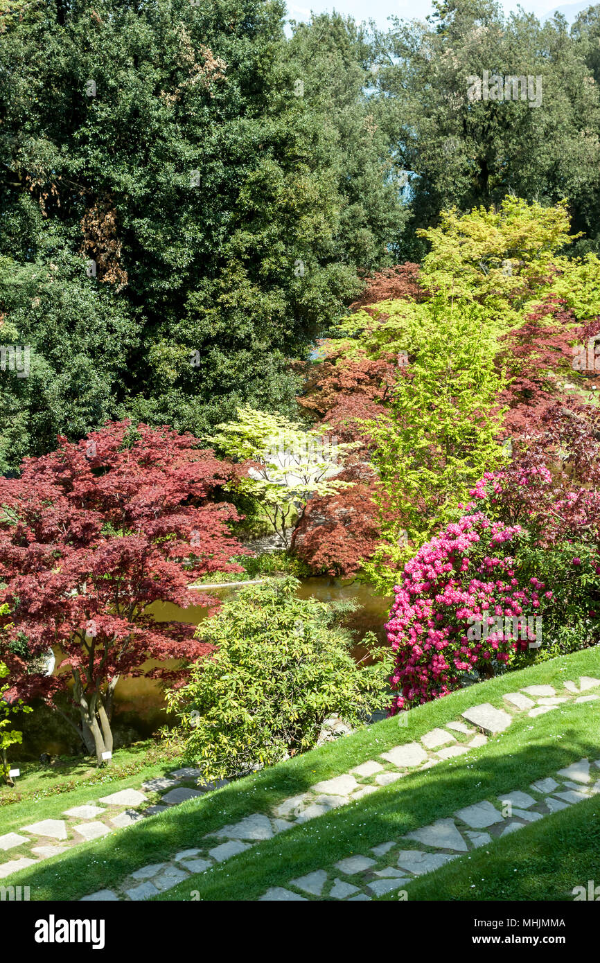 Botanic red hi-res stock photography and images - Alamy
