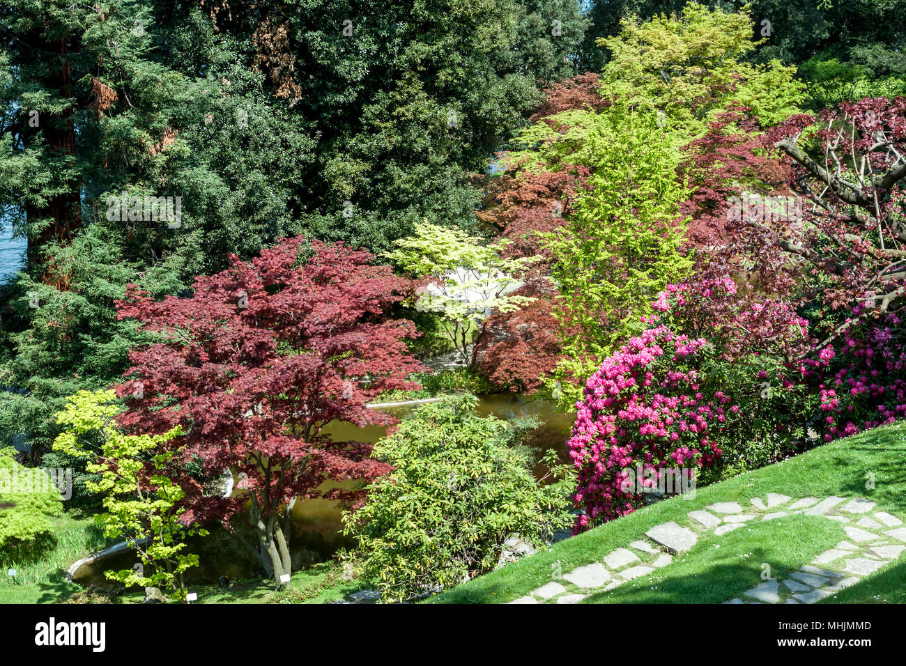 Red and green tree hi-res stock photography and images - Alamy