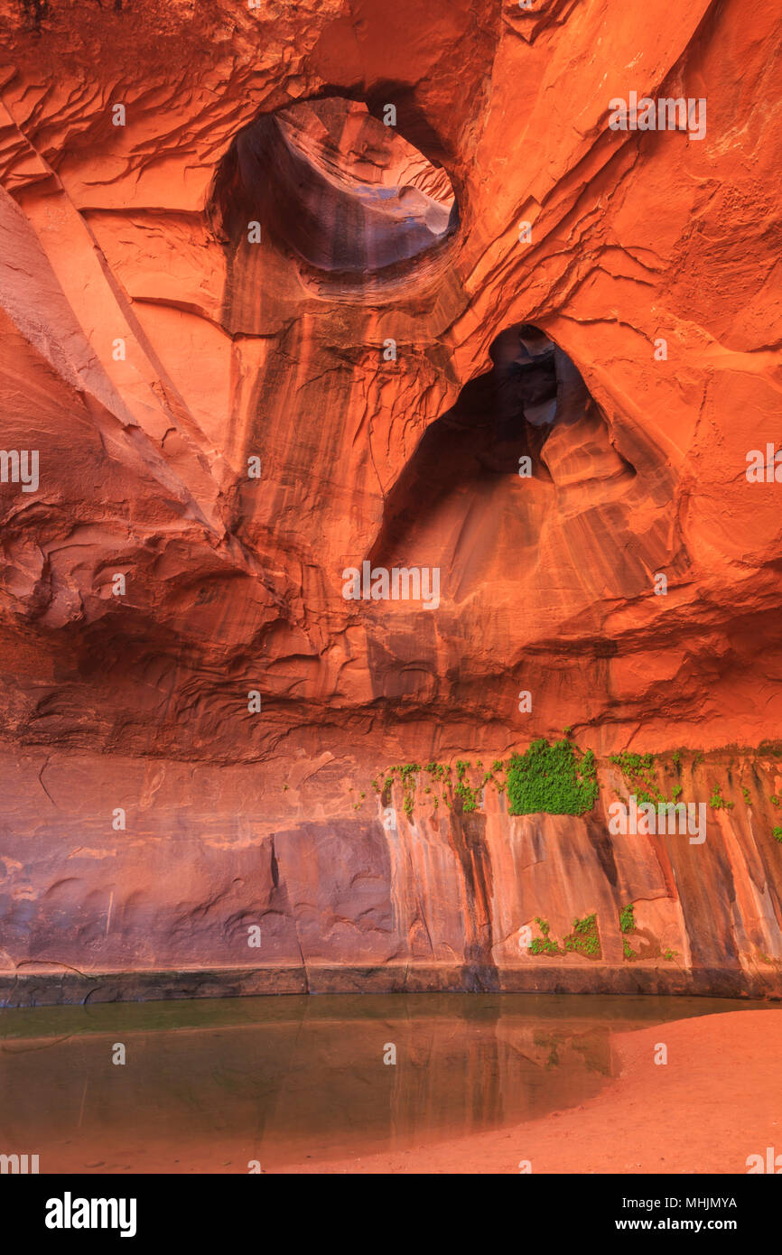 golden cathedral grotto in neon canyon of the escalante drainage in ...