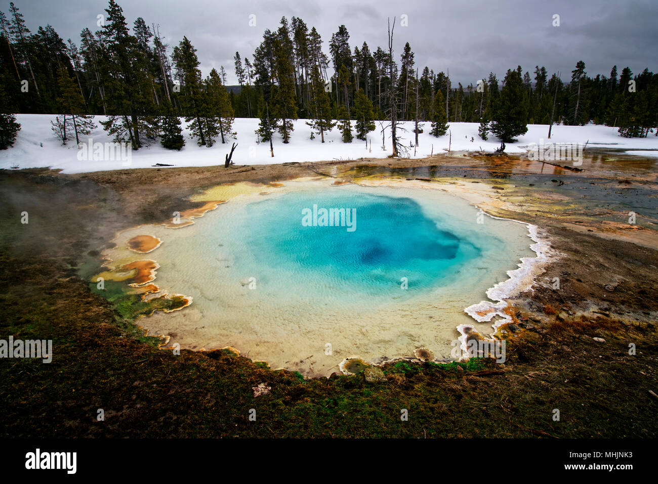 Emerald spring hi-res stock photography and images - Alamy