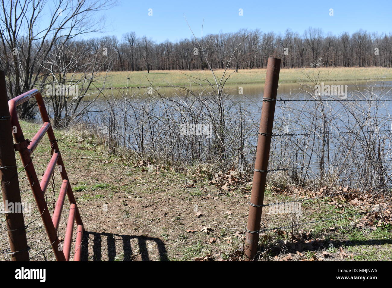 Farm pasture metal fence gate hi-res stock photography and images - Alamy