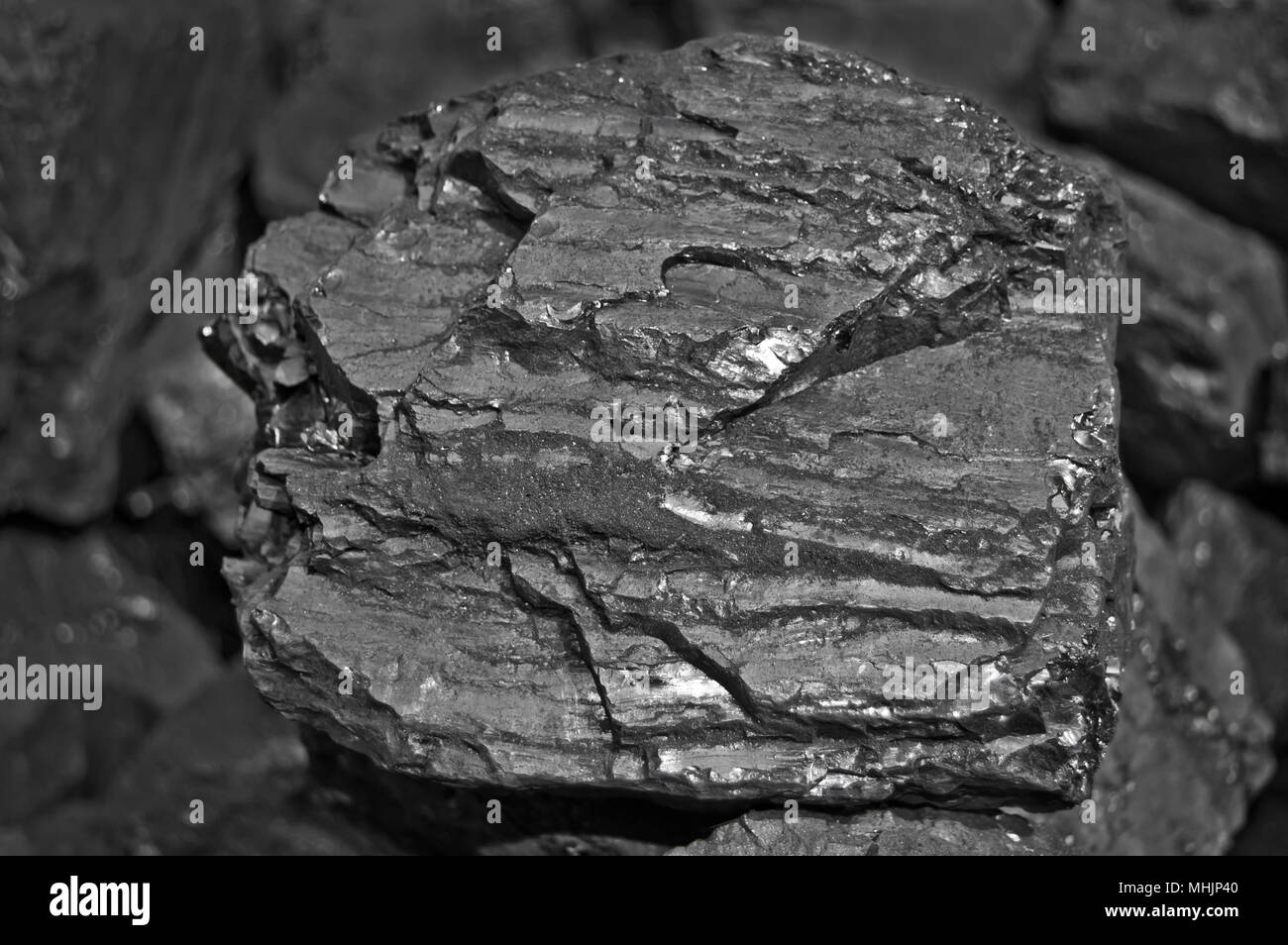 Black fossil stone hi-res stock photography and images - Alamy
