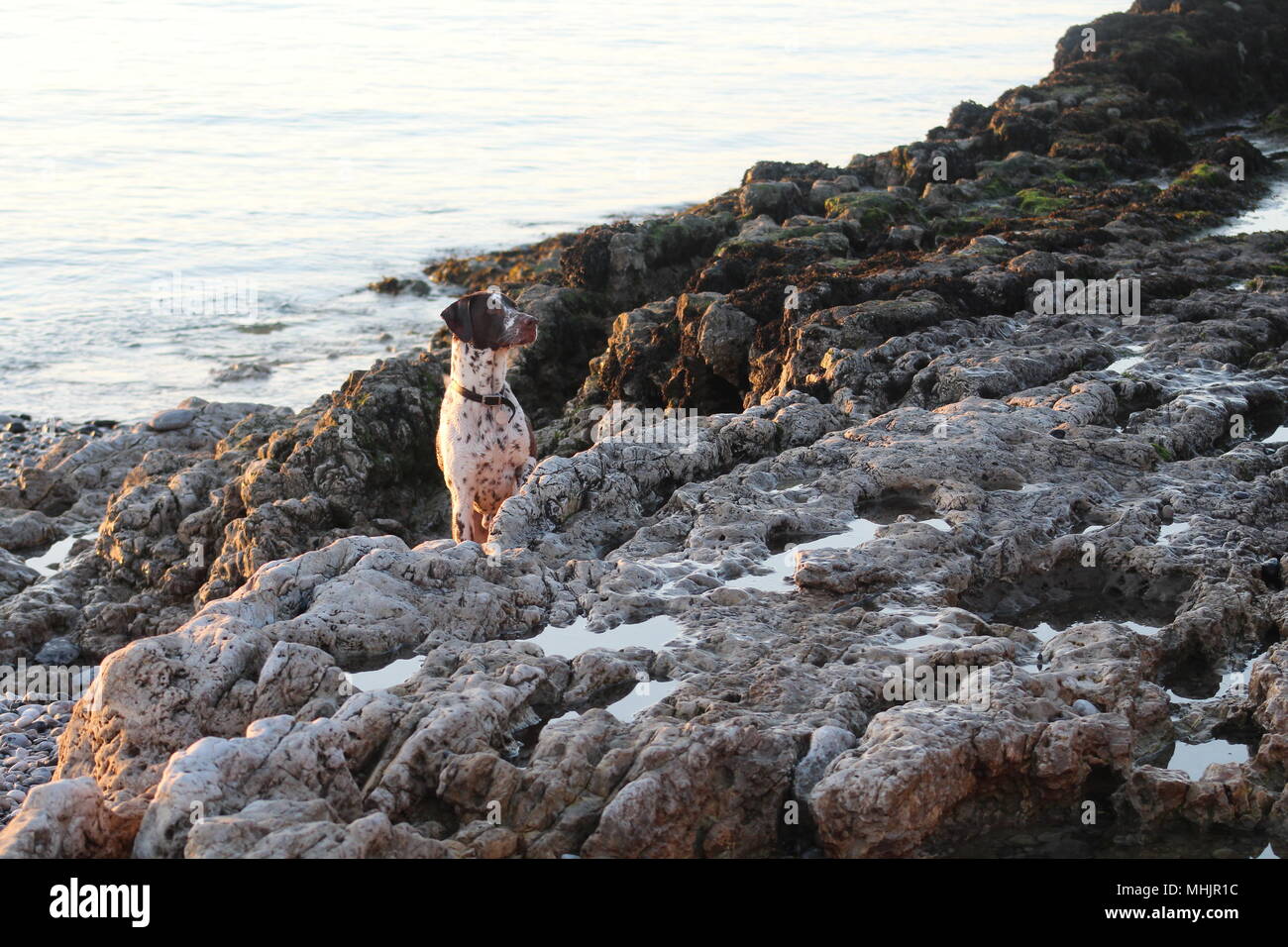 Wet Rock In Sunshine High Resolution Stock Photography and Images - Alamy