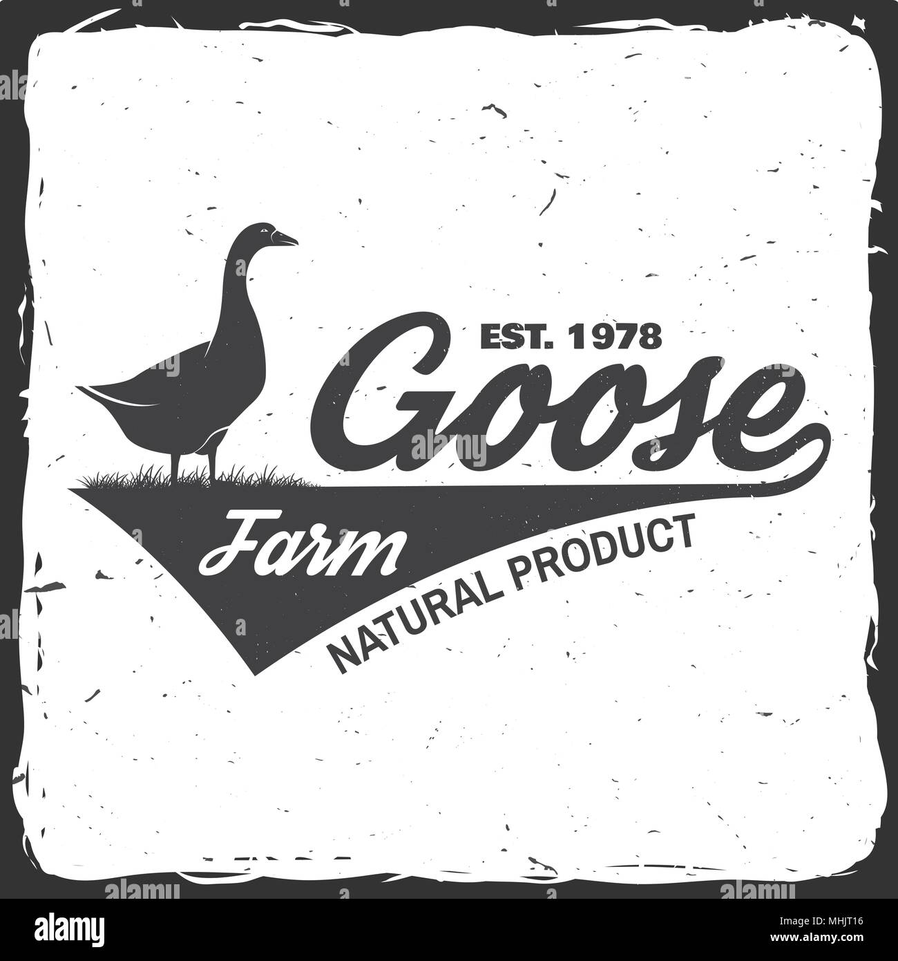 Geese goose farm animal Stock Vector Images - Alamy