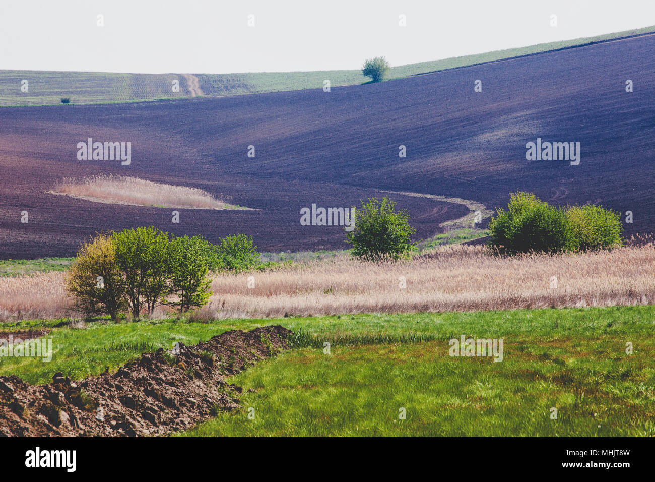 Diverse terrain hi-res stock photography and images - Alamy