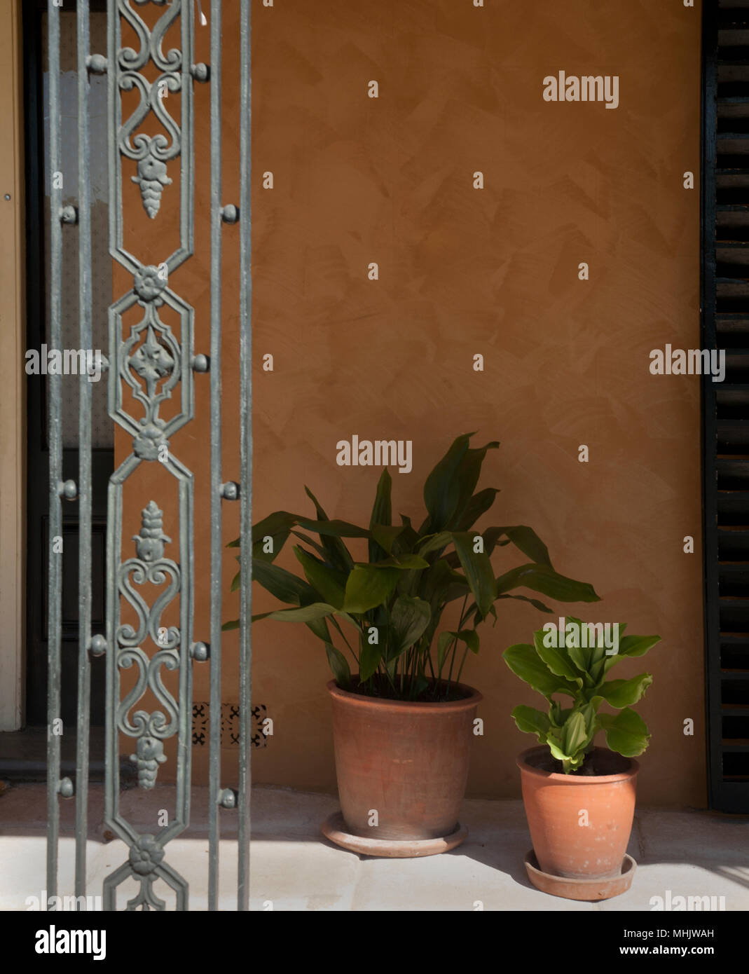 elizabeth farm cottage alice street rosehill parramatta sydney new ...