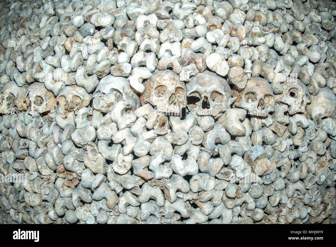 Paris Catacombs Skulls and bones walls detail Stock Photo - Alamy