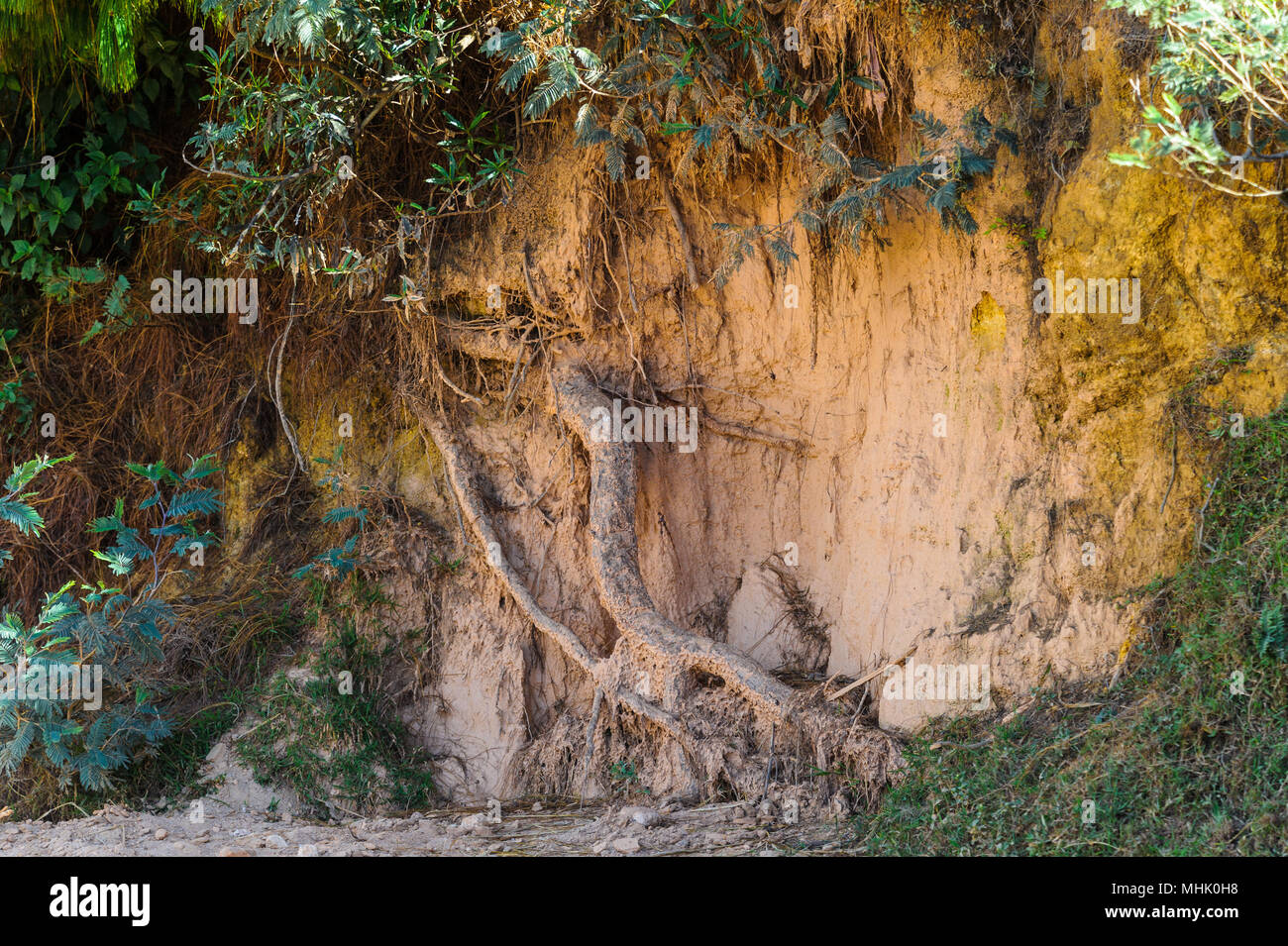Rock in Madagascar Stock Photo - Alamy