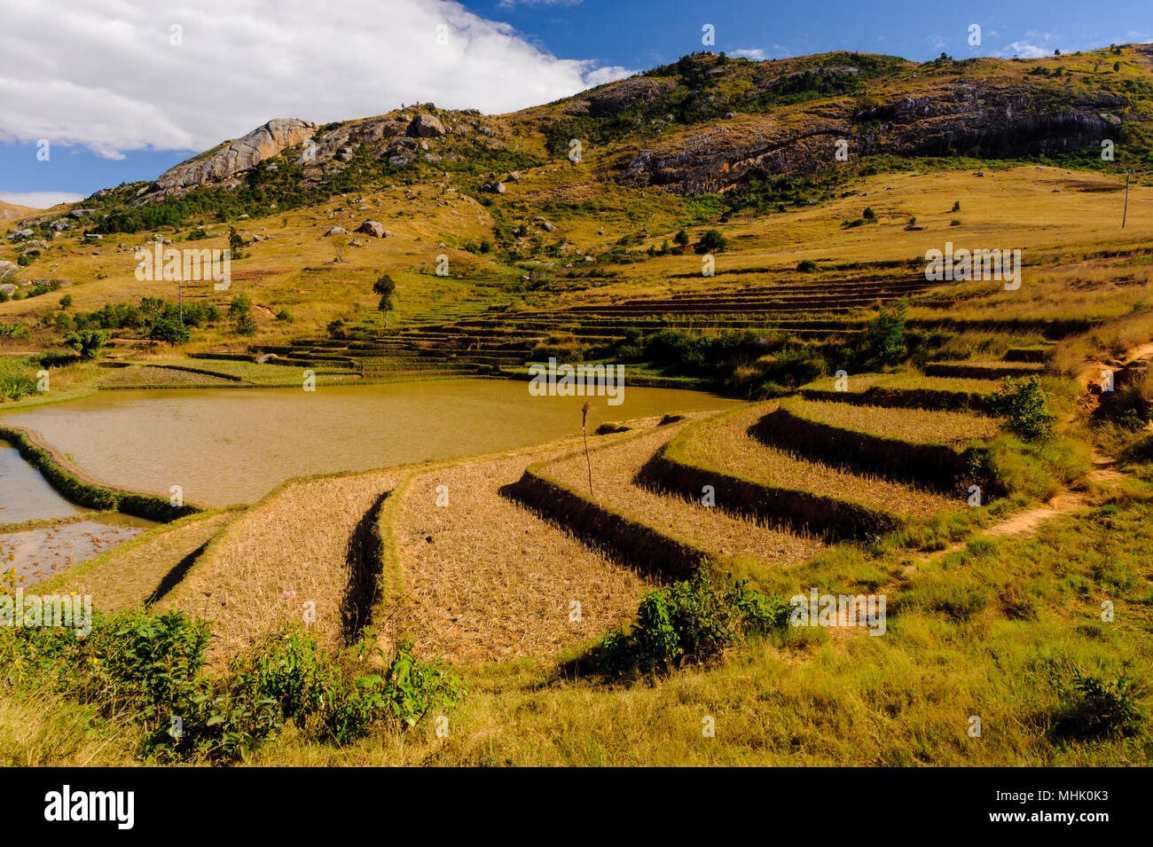 Beautiful landscape of the rice fields of Madagascar Stock Photo - Alamy
