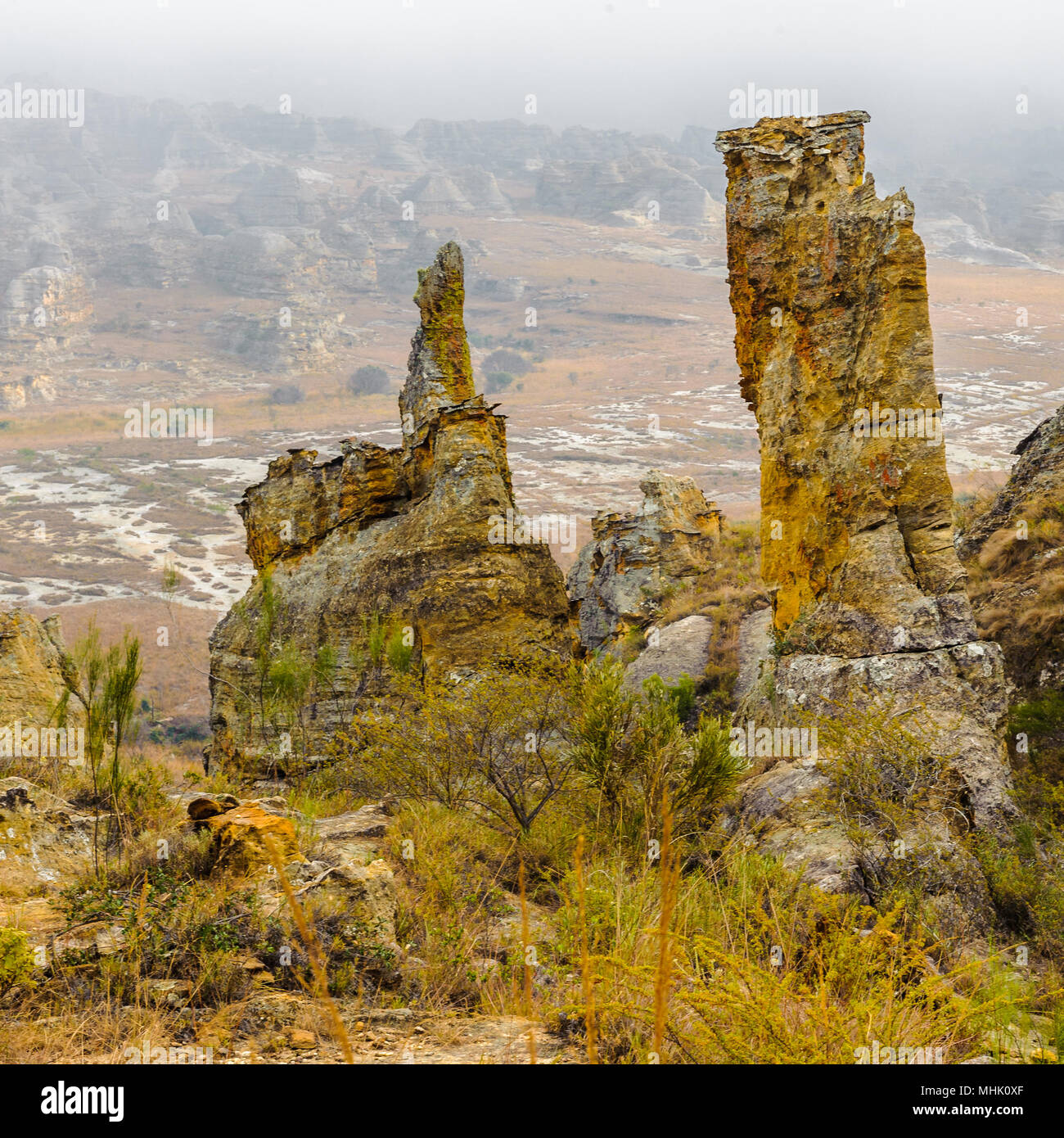 Madagascar desert in south hi-res stock photography and images - Alamy