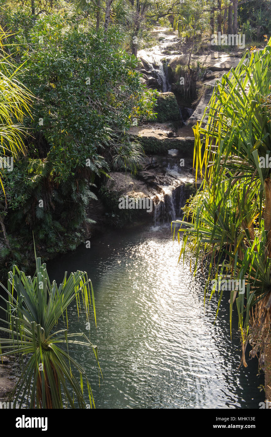 Nature of Madagascar Stock Photo - Alamy
